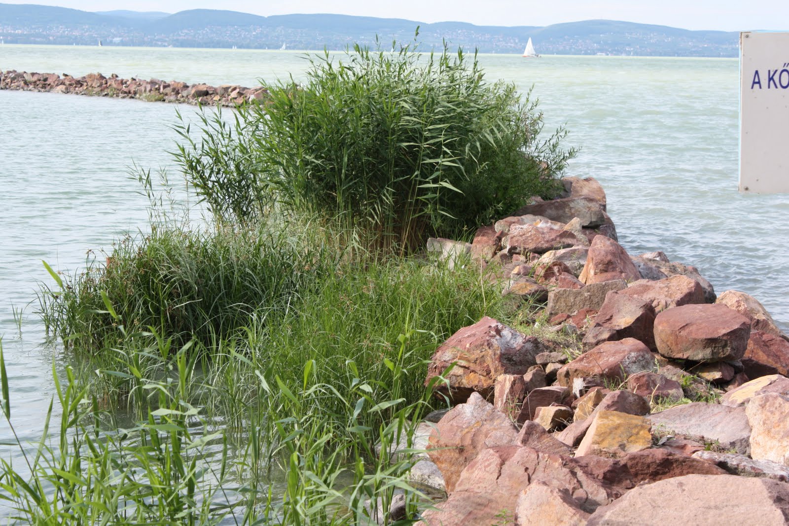 dies´und das und süsse Sachen...: Spaziergang am Plattensee